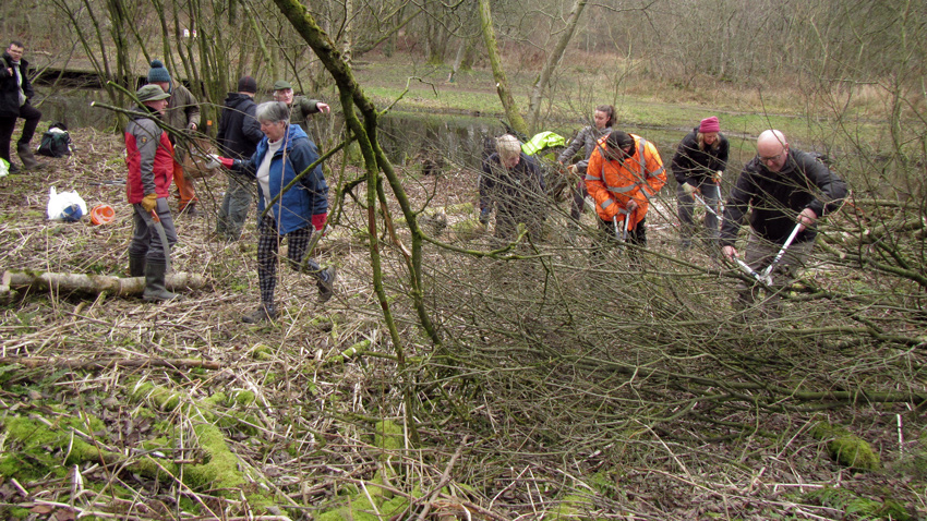 Darcy Lever Gravel Pits: Restoration – Bolton Conservation Volunteers