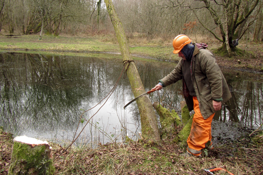 Darcy Lever Gravel Pits: Restoration – Bolton Conservation Volunteers