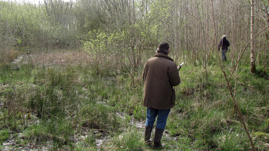 Gravel Pits South: Disappearing Ponds – Bolton Conservation Volunteers