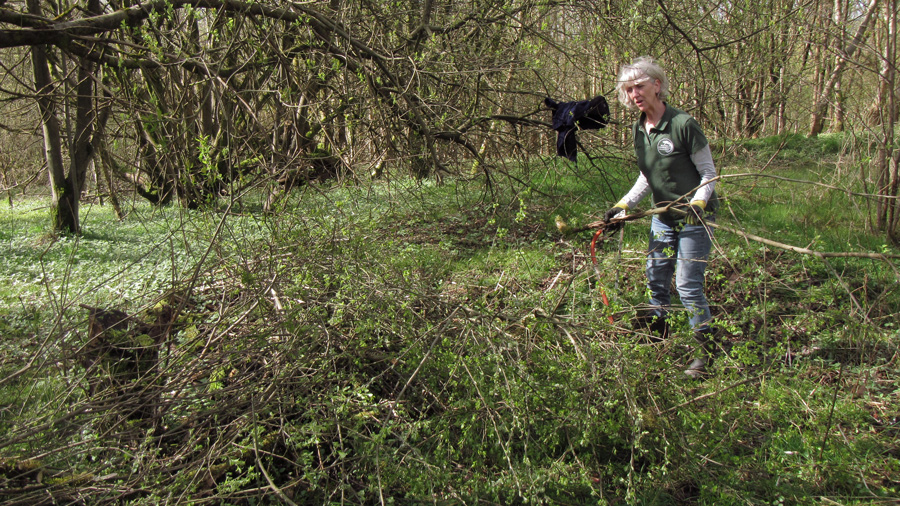 Hacken-Lane_07-04-24_05 – Bolton Conservation Volunteers