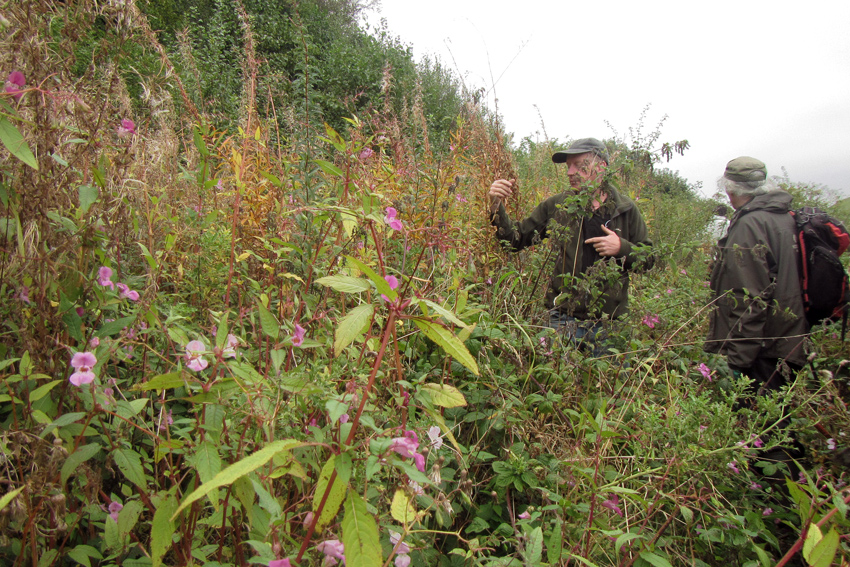 Nob End: Everything In Apple-Pie Order – Bolton Conservation Volunteers