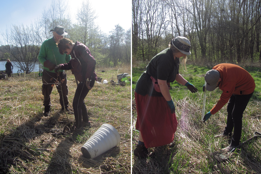 Moses-gate_06-04-25-02 – Bolton Conservation Volunteers