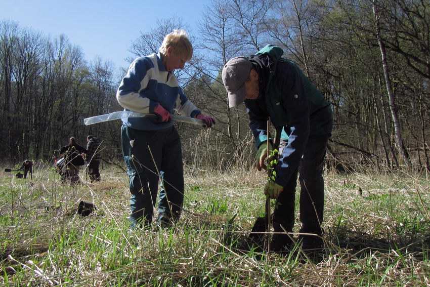 Moses-gate_06-04-25-03 – Bolton Conservation Volunteers