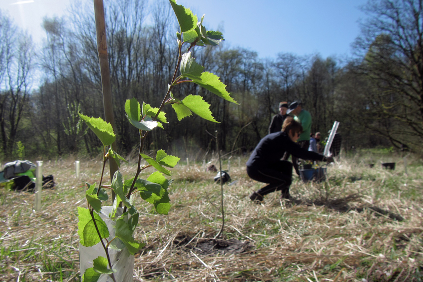 Moses-gate_06-04-25-05 – Bolton Conservation Volunteers