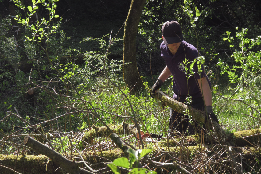 jumbles_01 – Bolton Conservation Volunteers