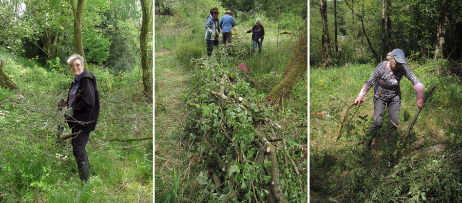 jumbles_03 – Bolton Conservation Volunteers